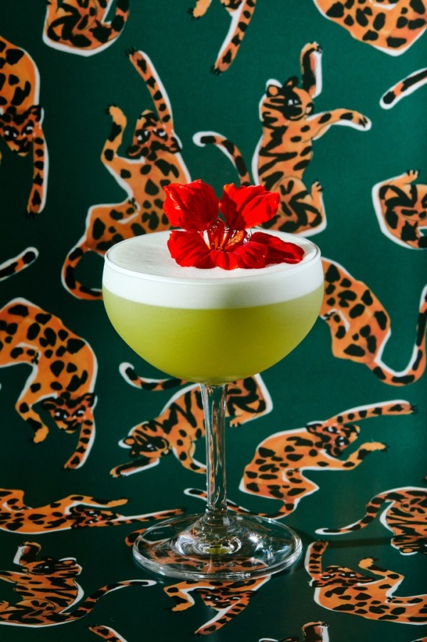 Nightlight in Baltimore: Bars, Things to Do & More | Visit Baltimore