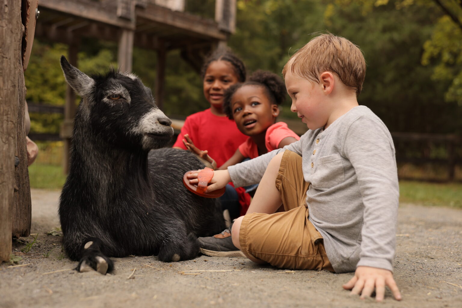 Plan Your Visit to the Maryland Zoo | Visit Baltimore
