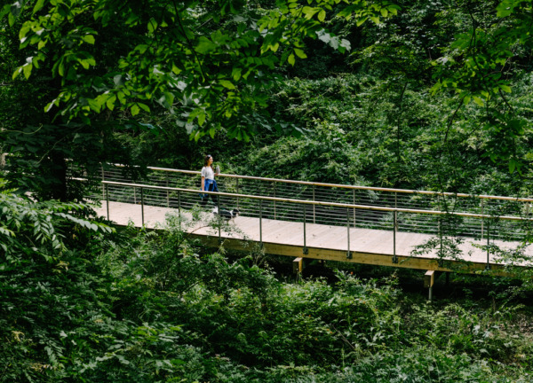 Best Parks in Baltimore | Visit Baltimore