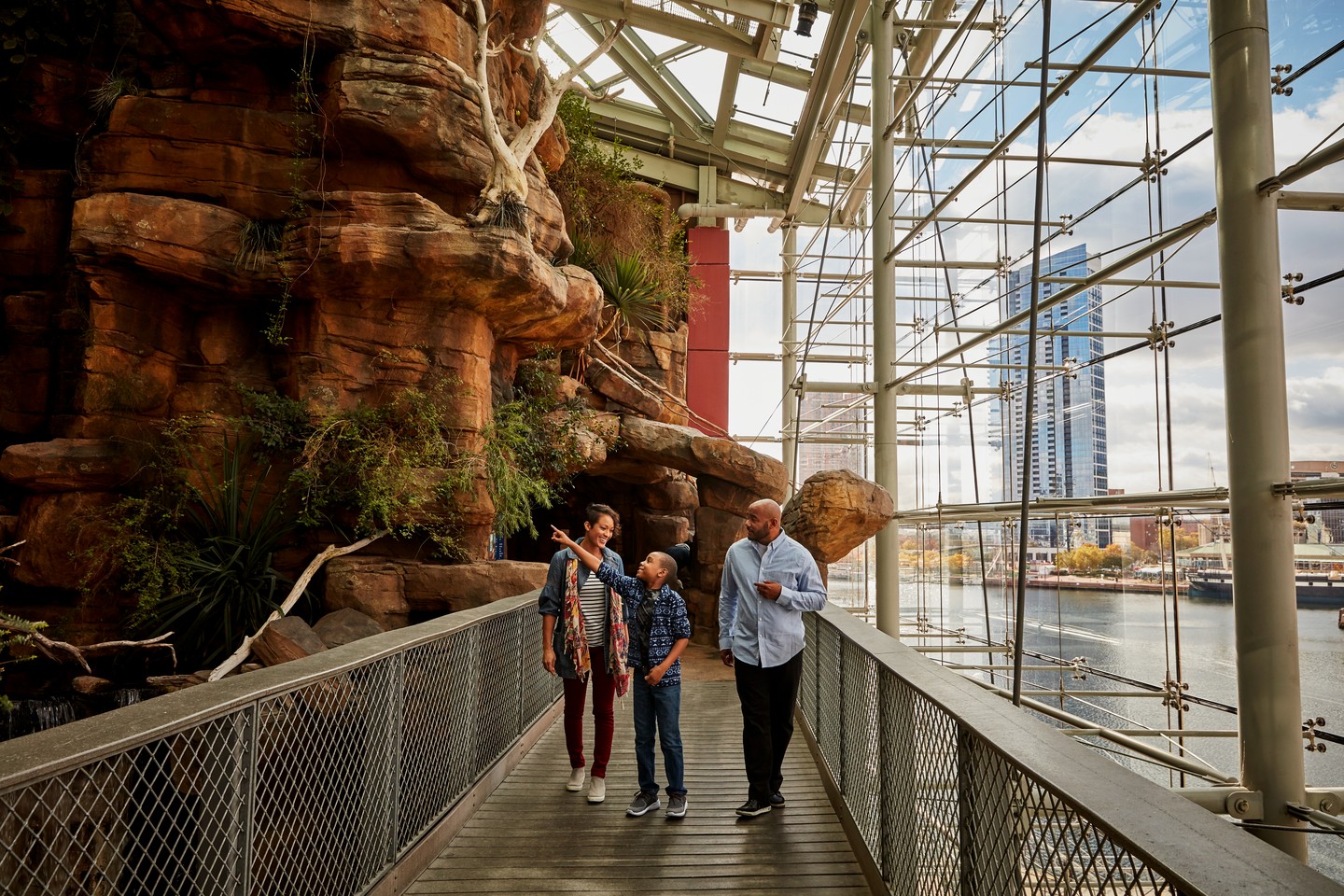 National Aquarium Baltimore | Visit Baltimore
