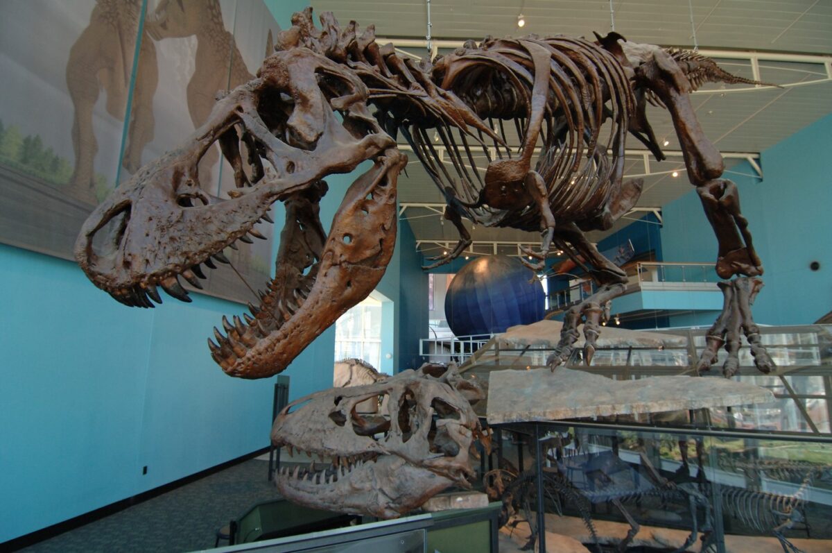 Maryland Science Center | Visit Baltimore