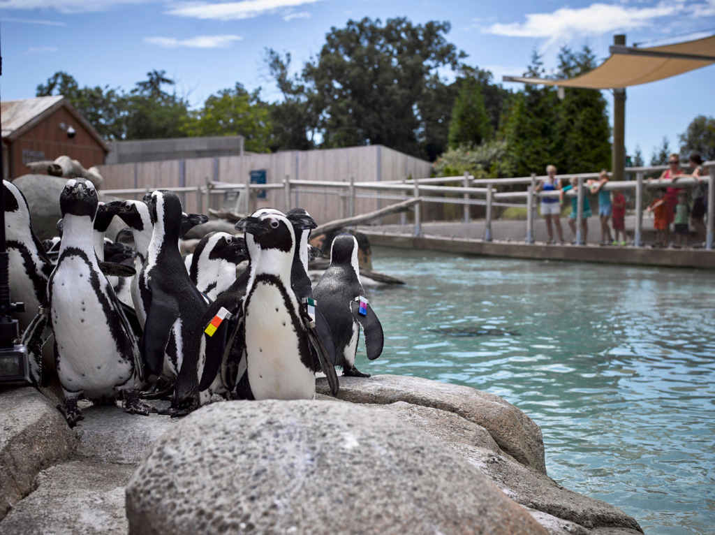 Baltimore's Group Tour Itineraries | Visit Baltimore