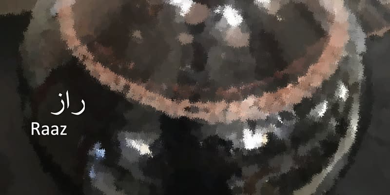 Raaz: A Multimedia Bio-art Installation | Visit Baltimore