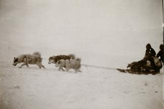 North Pole Narratives | Visit Baltimore