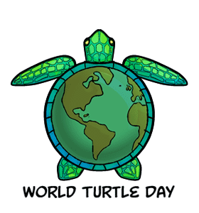 2nd Annual World Turtle Day | Visit Baltimore