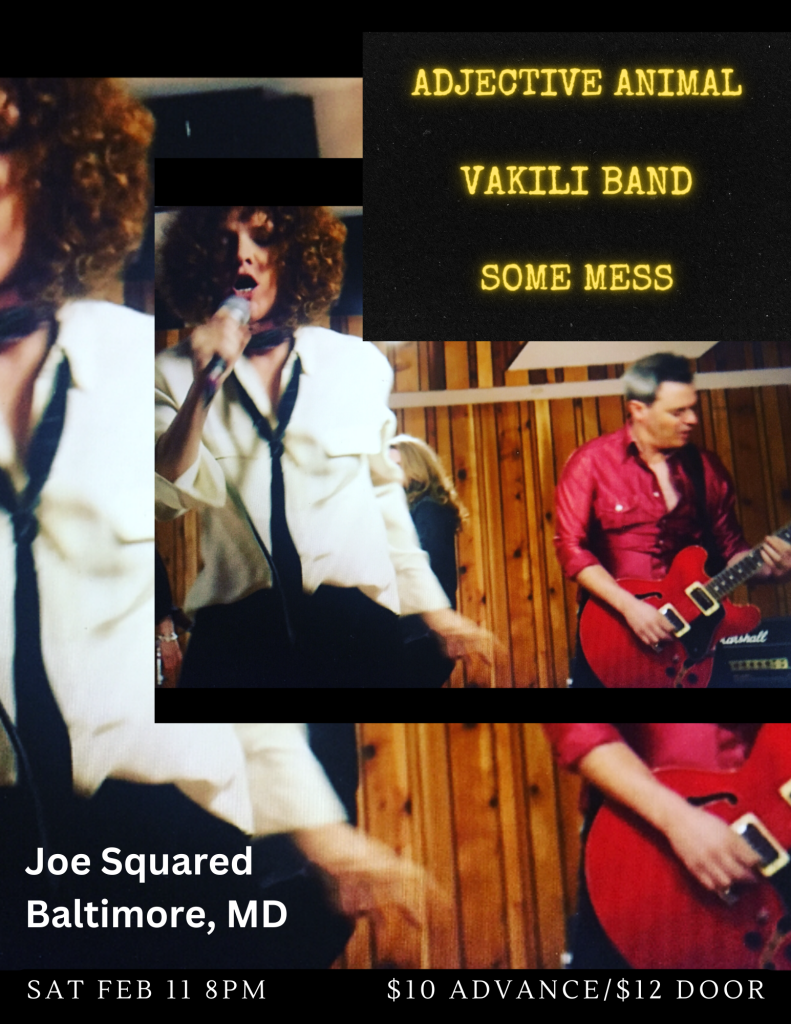 2/11/23: Vakili Band, Adjective Animal, and Some Mess | Visit Baltimore