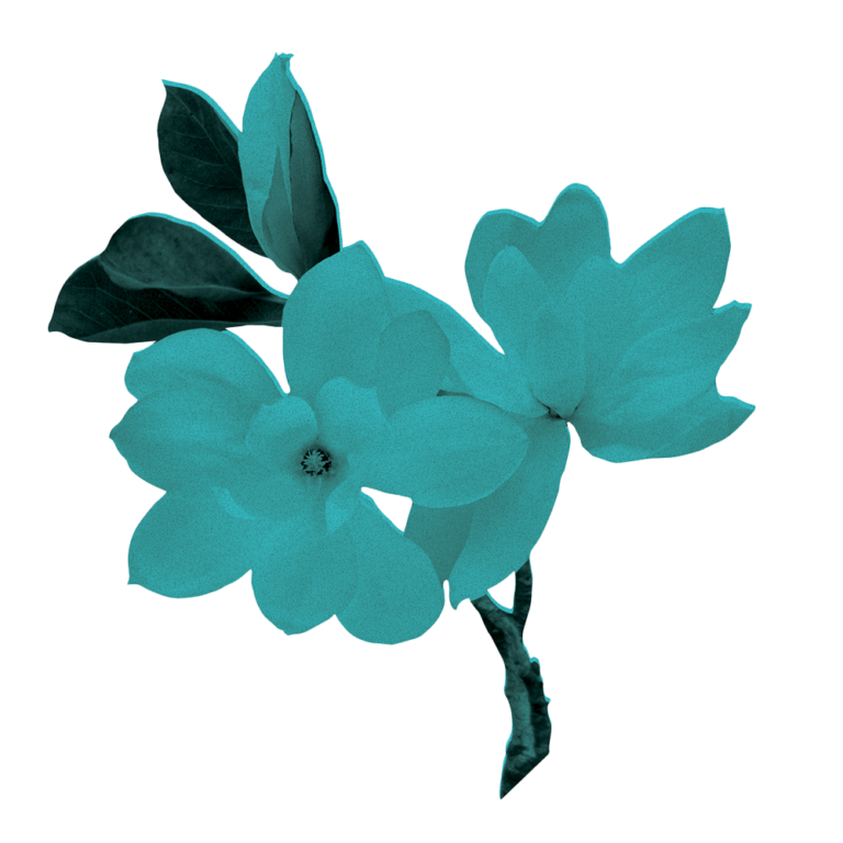 BoP Pass | Visit Baltimore