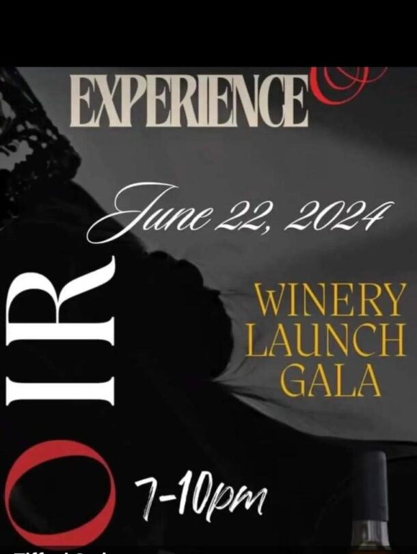 Experience NOIR WINERY LAUNCH GALA | Visit Baltimore