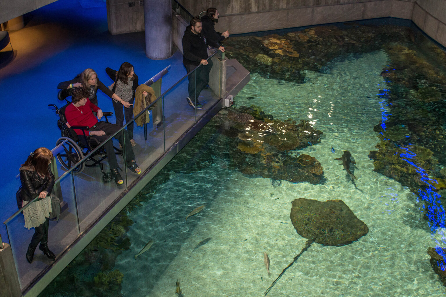 Accessible Museums and Attractions in Baltimore