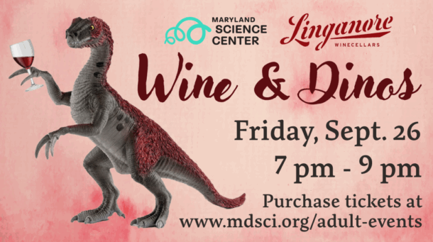 Wine & Dinos | Visit Baltimore